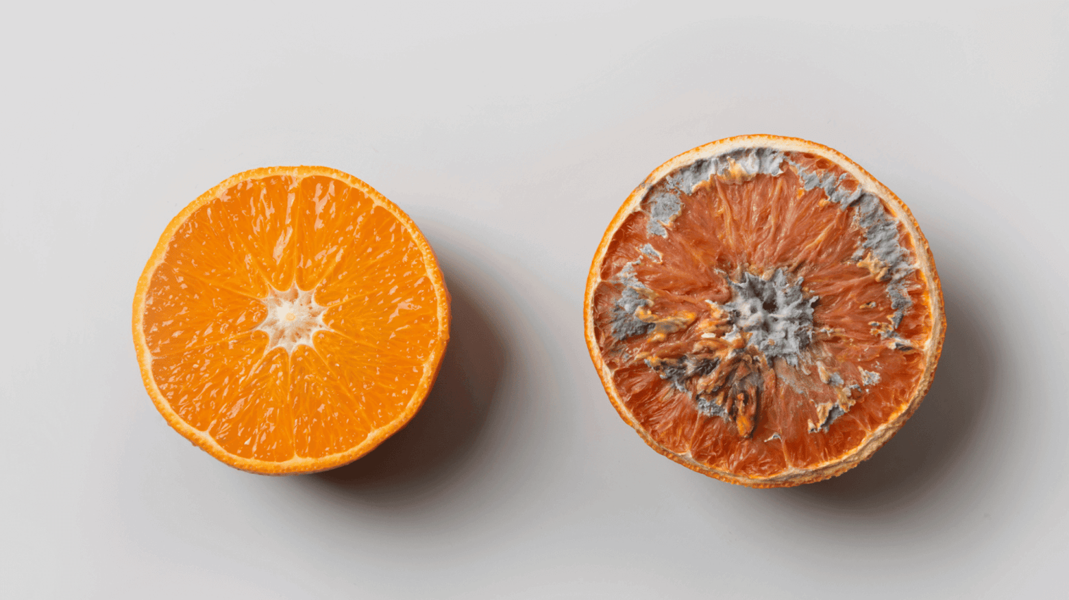 How to Master Perishable Inventory | Zenventory